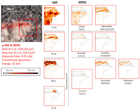Molecules | Free Full-Text | Multi-Scale X-ray Imaging of the Pigment ...