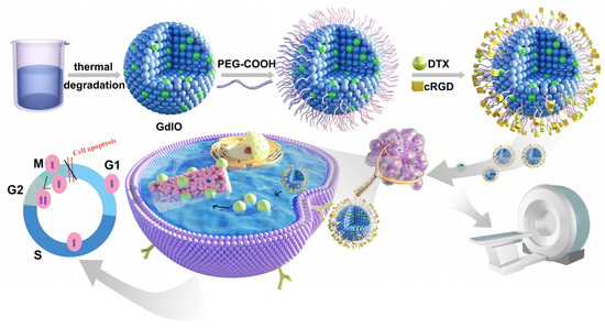cRGD-Conjugated GdIO Nanoclusters for the Theranostics of Pancreatic ...