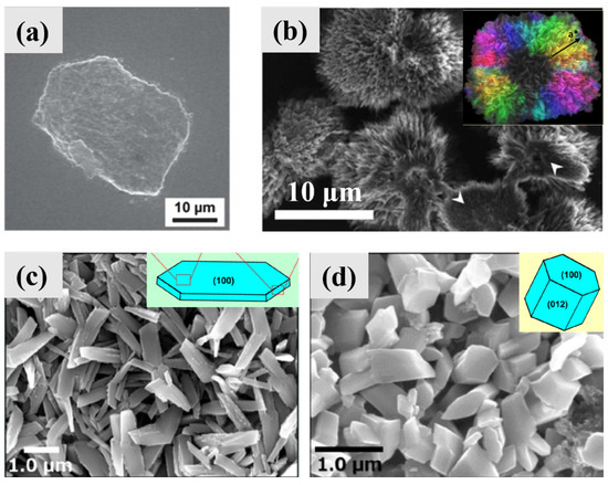 Biomineralization and Properties of Guanine Crystals