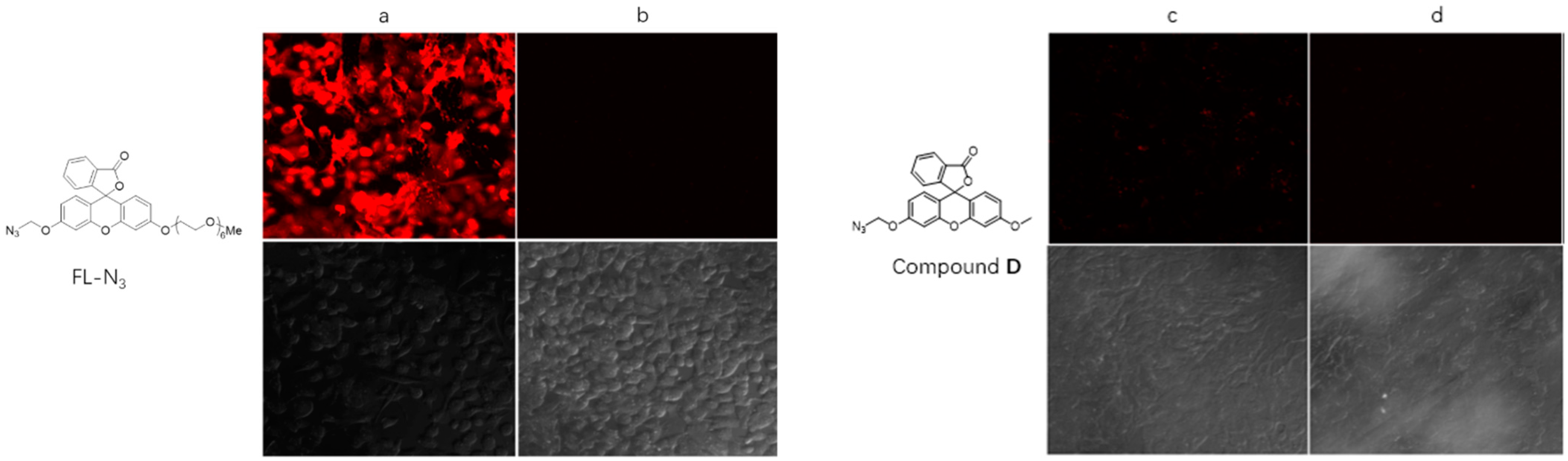 A New Fluorescent Probe for Hydrogen Sulfide Detection in Solution and Living Cells