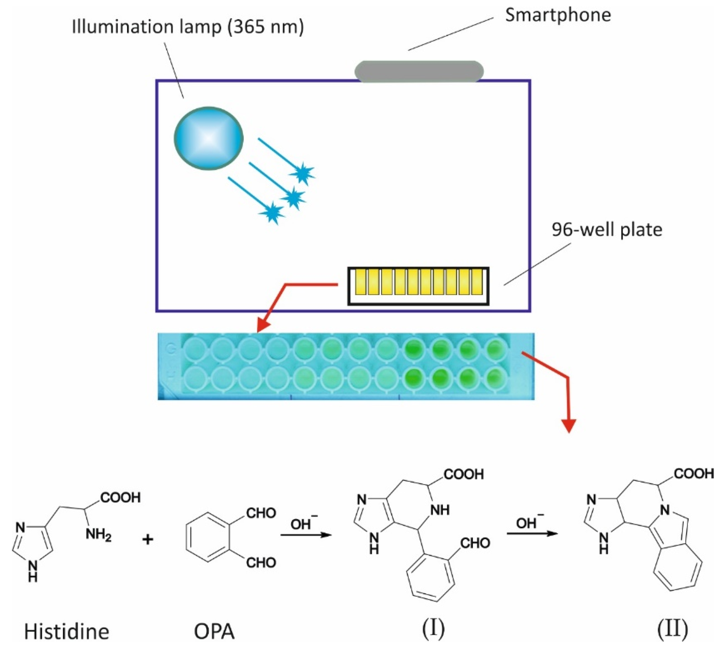 Smartphone-Based High-Throughput Fluorimetric Assay for Histidine ...
