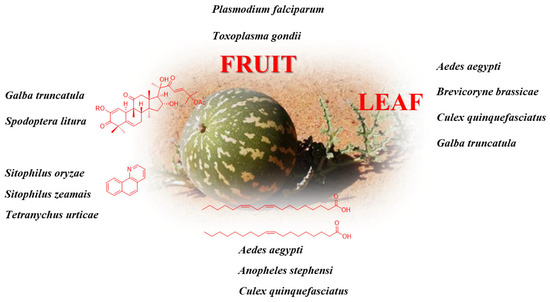 Citrullus colocynthis (L.) Schrad.: A Promising Pharmaceutical Resource ...
