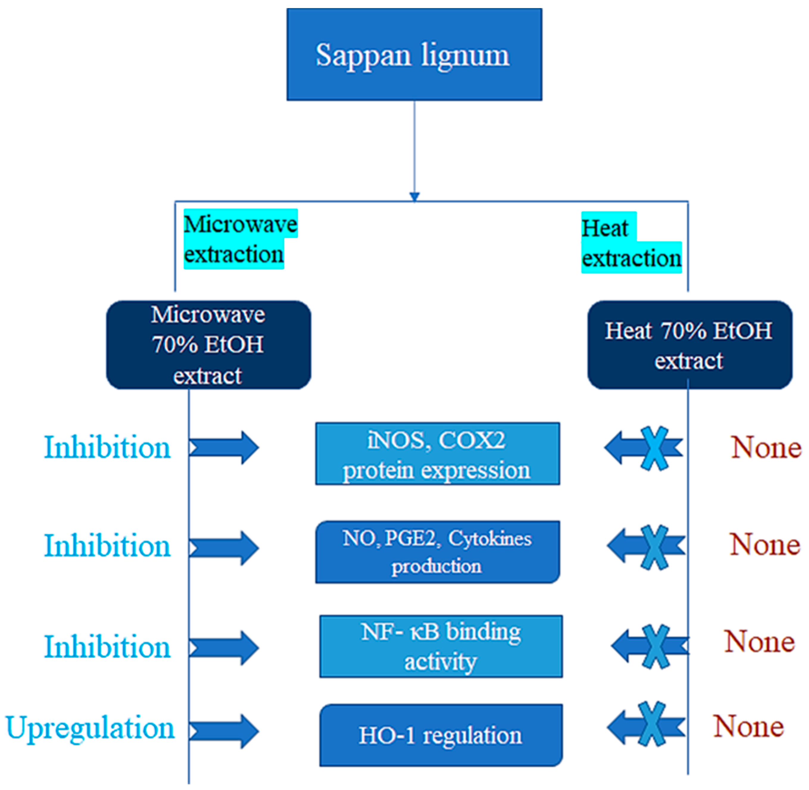 A Comprehensive Review on Bioactive Compounds Found in Caesalpinia sappan