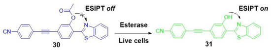 New Advances in the Exploration of Esterases with PET and Fluorescent ...
