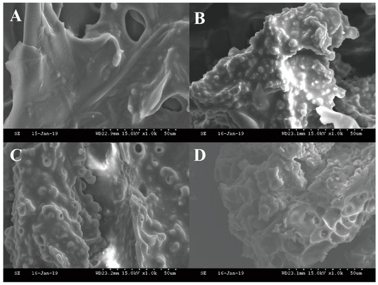 The Impact of AAPH-Induced Oxidation on the Functional and Structural ...
