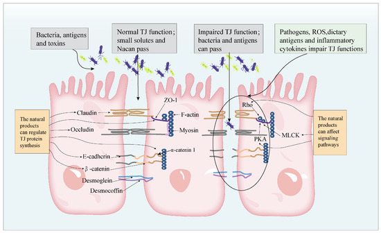 Natural Products: A Dependable Source of Therapeutic Alternatives for ...