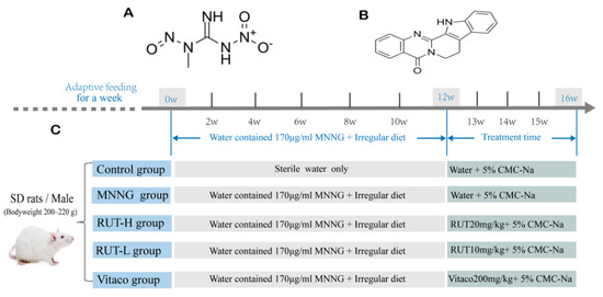 Rutaecarpine Ameliorates Murine N-Methyl-N’-Nitro-N-Nitrosoguanidine ...