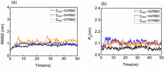 Interface-Based Design of High-Affinity Affibody Ligands for the ...