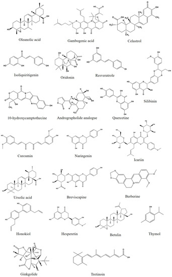 Herbal Medicine Nanocrystals: A Potential Novel Therapeutic Strategy