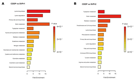 Gut Microbiota Combined with Metabolomics Reveal the Mechanisms of Sika ...