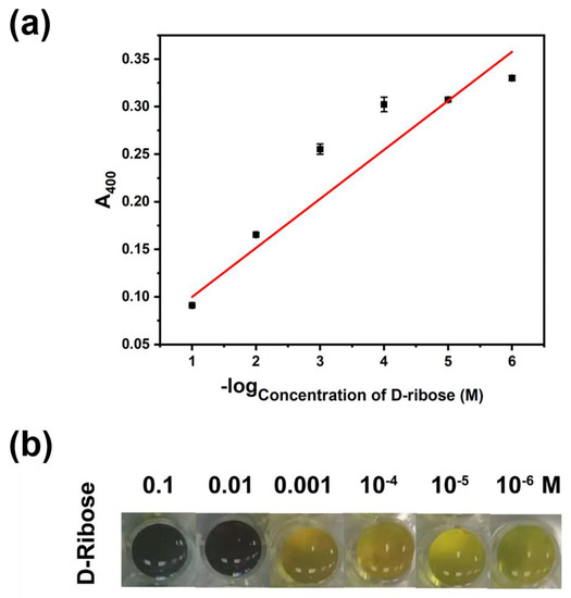 Chiral Recognition of D/L-Ribose by Visual and SERS Assessments