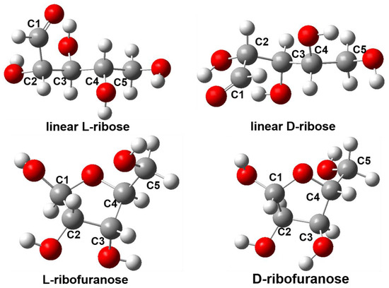 Chiral Recognition of D/L-Ribose by Visual and SERS Assessments