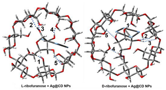 Chiral Recognition of D/L-Ribose by Visual and SERS Assessments