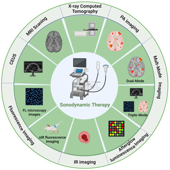 Ultrasound Sonosensitizers for Tumor Sonodynamic Therapy and Imaging: A ...