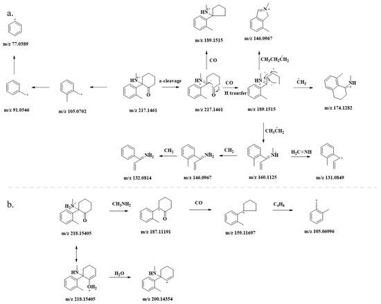 Study on the Mass Spectrometry Fragmentation Patterns for Rapid ...