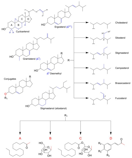 Advances and Challenges in Plant Sterol Research: Fundamentals ...
