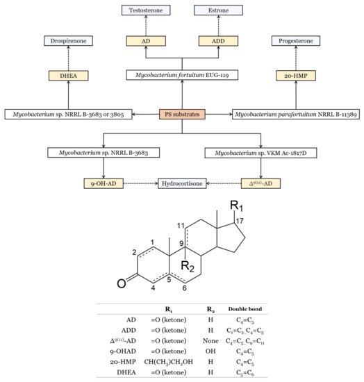 Molecules | Free Full-Text | Advances and Challenges in Plant Sterol Research: Fundamentals ...