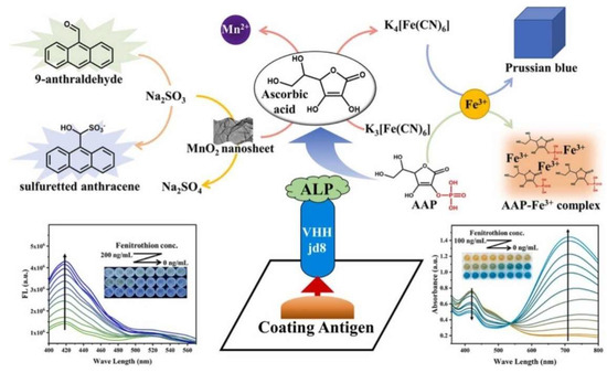 Overview on the Development of Alkaline-Phosphatase-Linked Optical ...