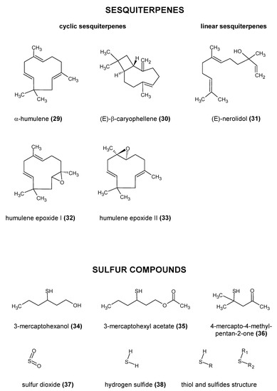 Effects of Dry-Hopping on Beer Chemistry and Sensory Properties—A Review