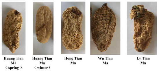 HS-GC-IMS Analysis of Volatile Organic Compounds in Different Varieties ...