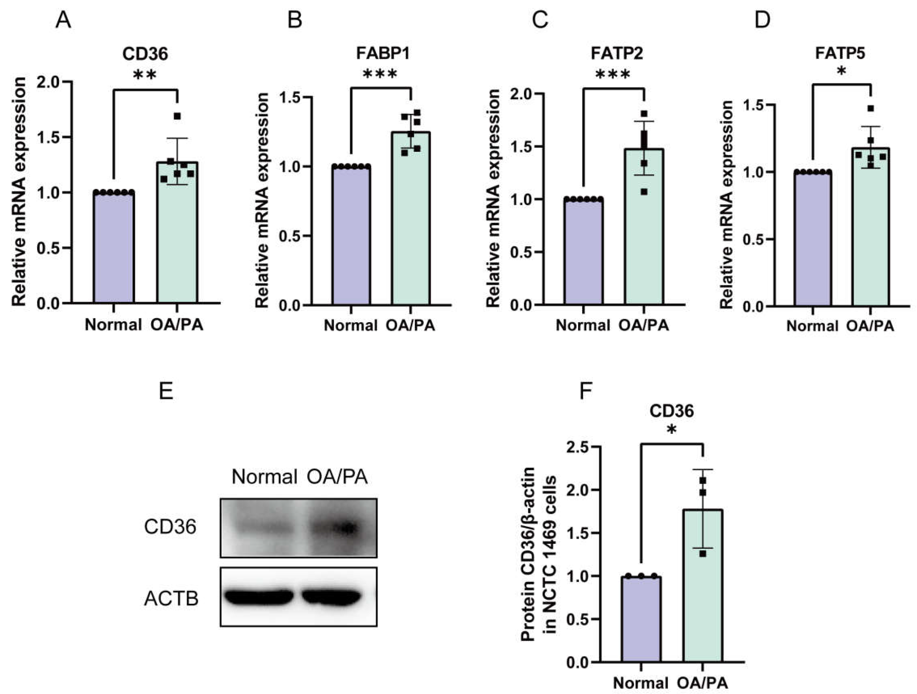 The Different Mechanisms of Lipid Accumulation in Hepatocytes Induced ...