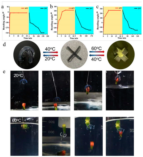 Bio-Inspired Hydrogel–Elastomer Actuator with Bidirectional Bending and ...