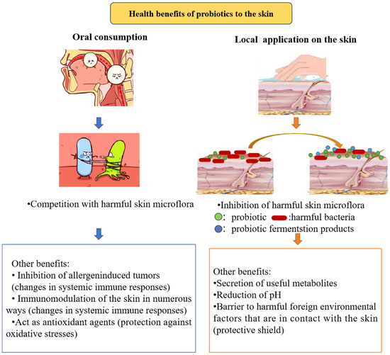Applications of Probiotic Constituents in Cosmetics