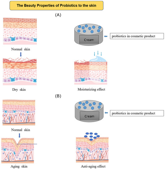Applications of Probiotic Constituents in Cosmetics