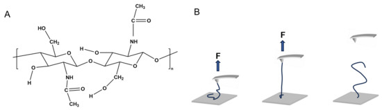 Revealing the Control Mechanisms of pH on the Solution Properties of ...