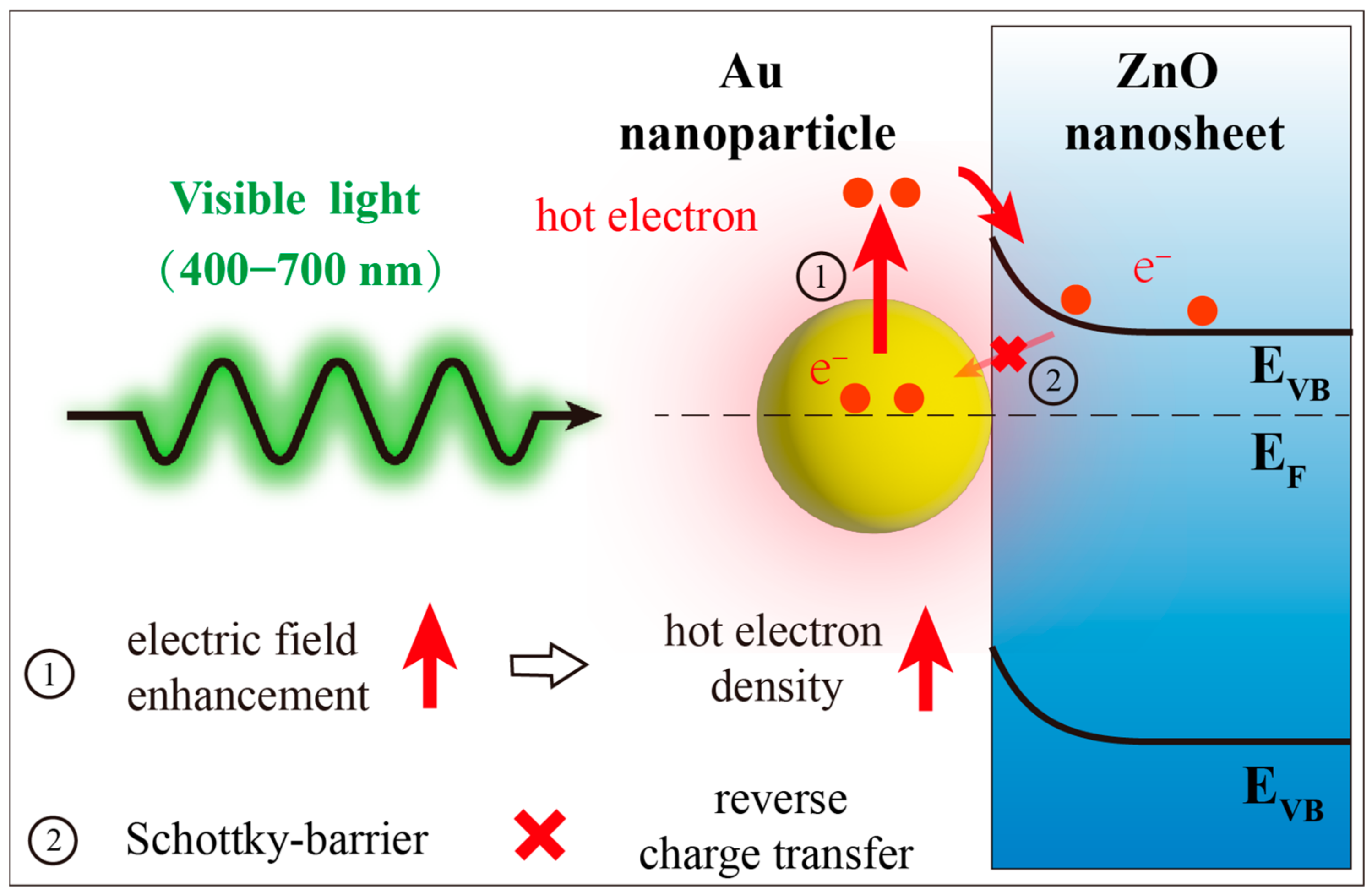 Understanding the Plasmonic Effect of Enhanced Photodegradation with Au Nanoparticle Decorated ...