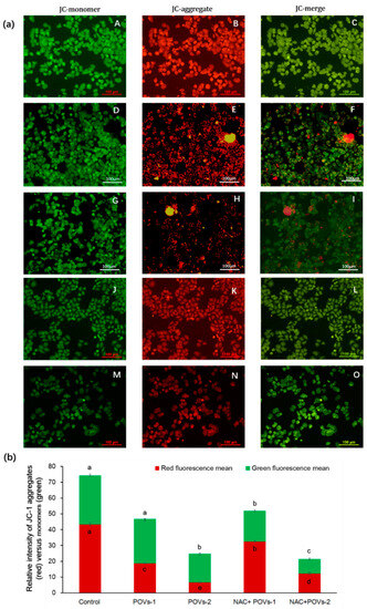 Ni/Mn-Complex-Tethered Tetranuclear Polyoxovanadates: Crystal Structure ...