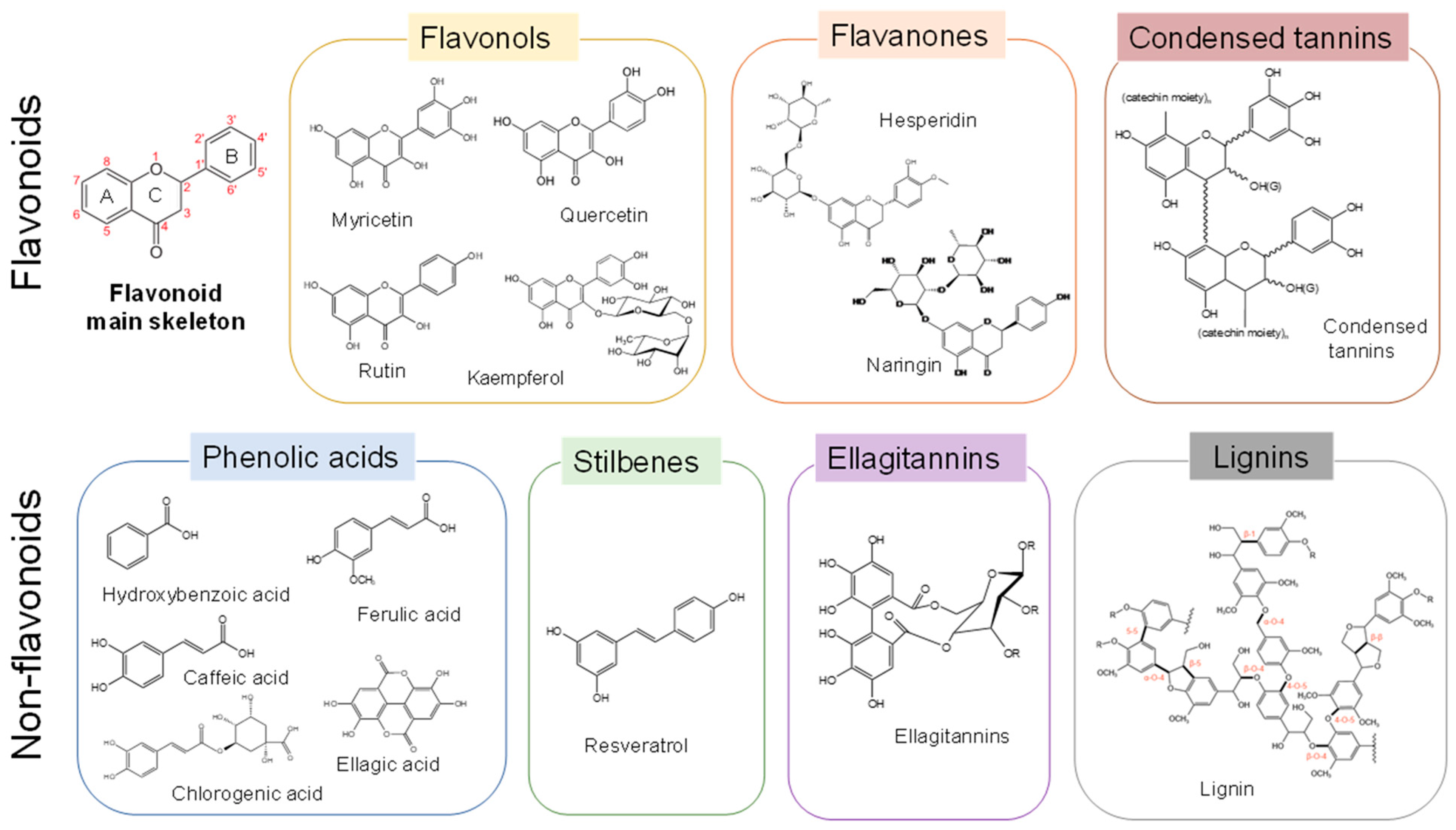 Green Extraction of Polyphenols via Deep Eutectic Solvents and Assisted ...