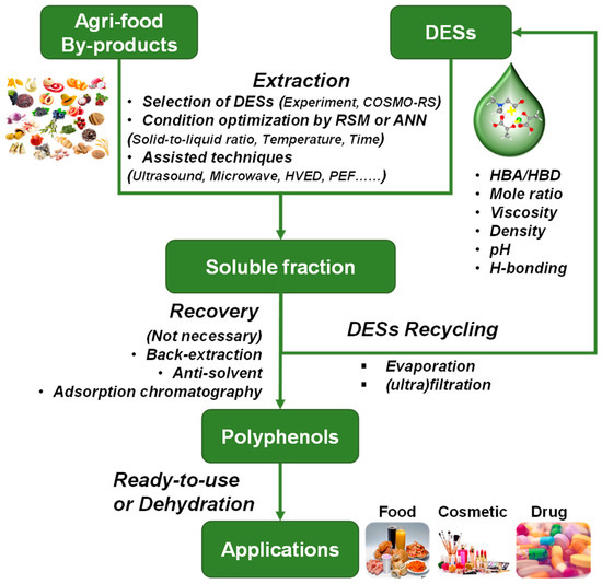 Green Extraction of Polyphenols via Deep Eutectic Solvents and Assisted Technologies from Agri ...