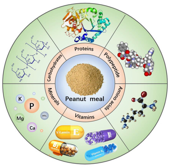 Molecules | Free Full-Text | Research Advances in the High-Value ...