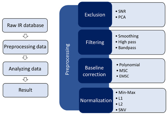 Exploring the Steps of Infrared (IR) Spectral Analysis: Pre-Processing ...