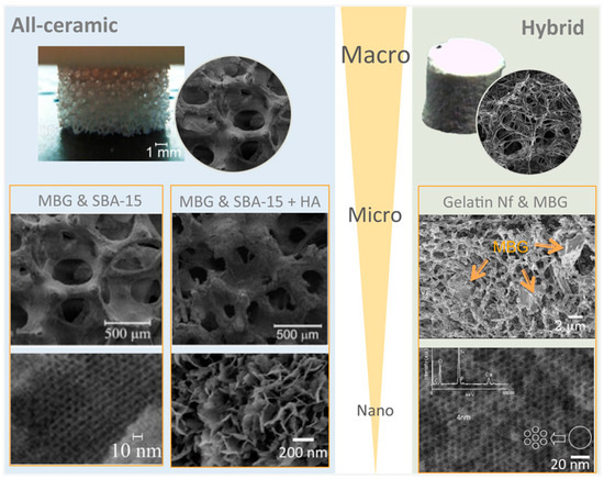 Sol–Gel Technologies to Obtain Advanced Bioceramics for Dental Therapeutics