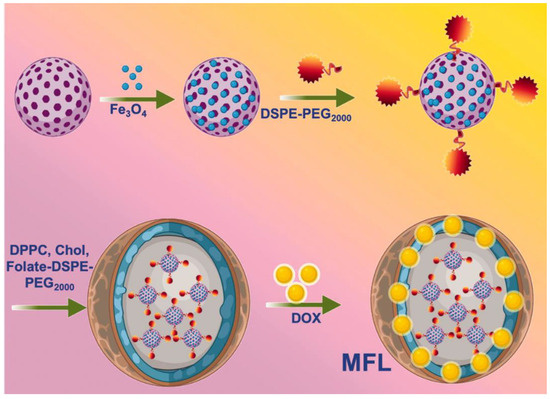 Review of the Application of Dual Drug Delivery Nanotheranostic Agents ...
