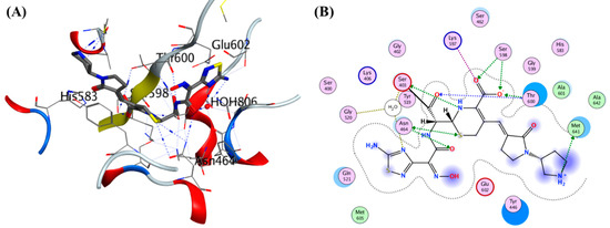 A Review on Five and Six-Membered Heterocyclic Compounds Targeting the ...