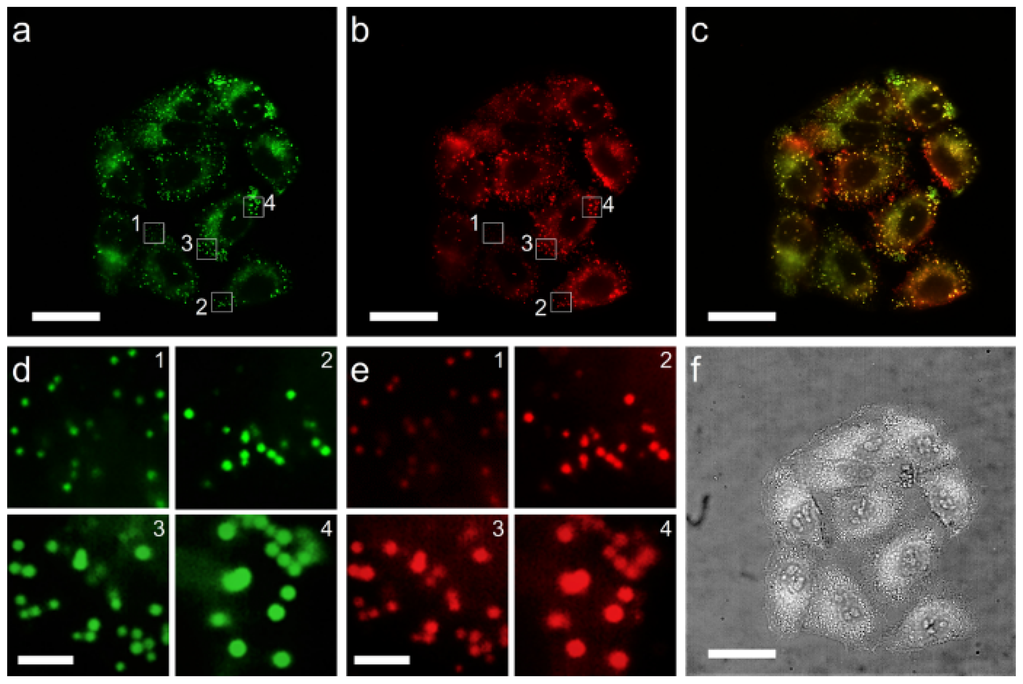 A Multifunctional Aggregation-Induced Emission Luminogen with pH ...