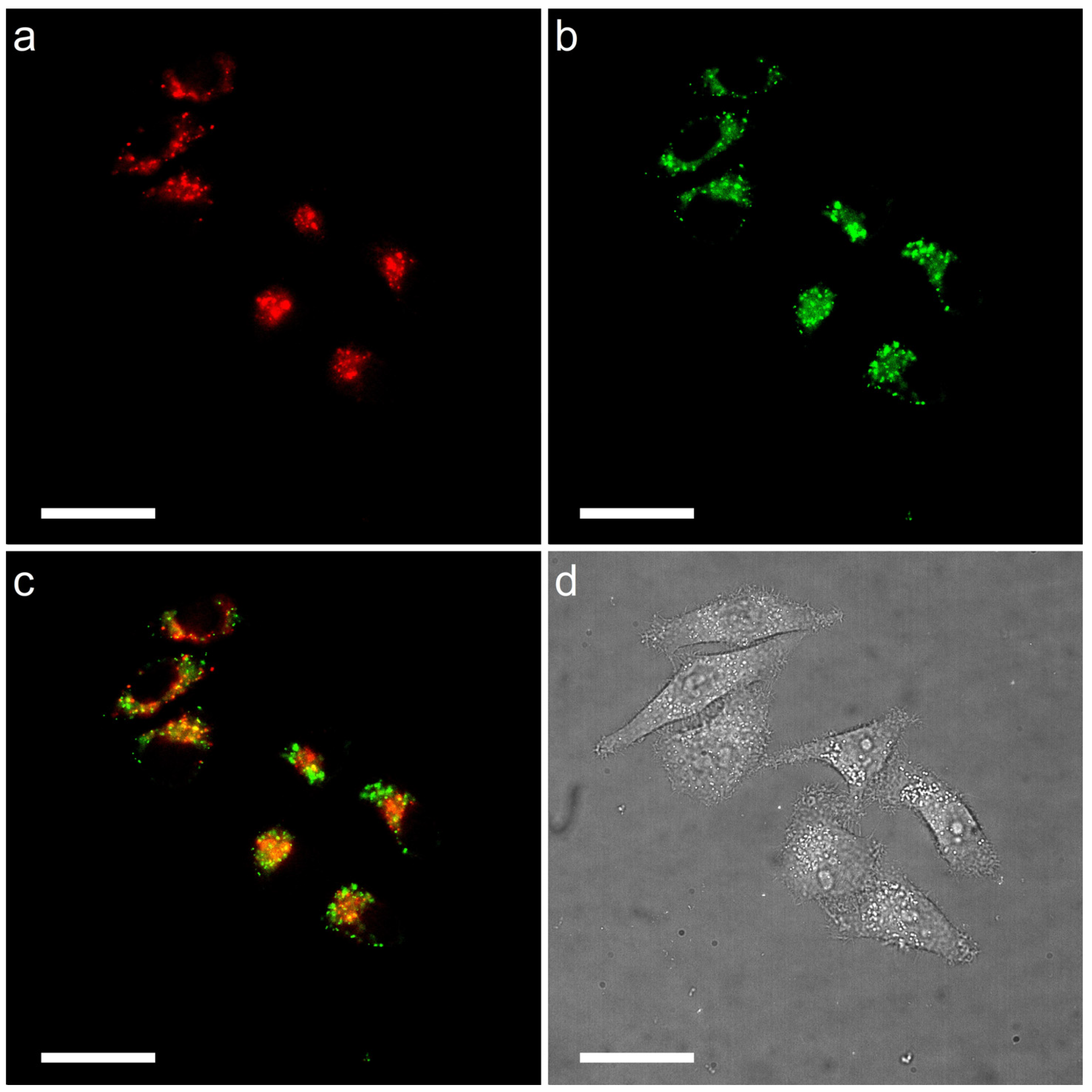 A Multifunctional Aggregation-Induced Emission Luminogen with pH ...