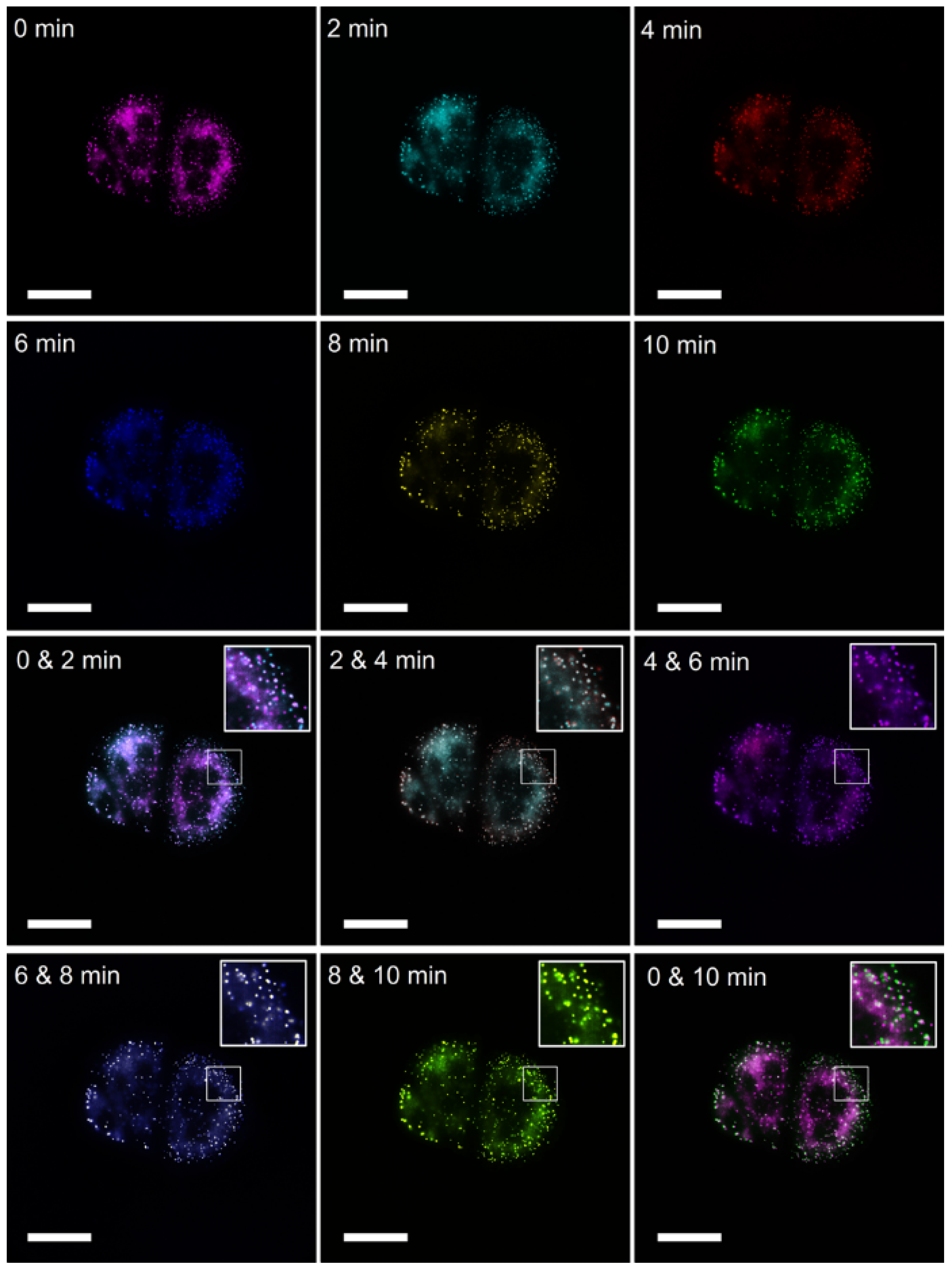 A Multifunctional Aggregation-Induced Emission Luminogen with pH ...