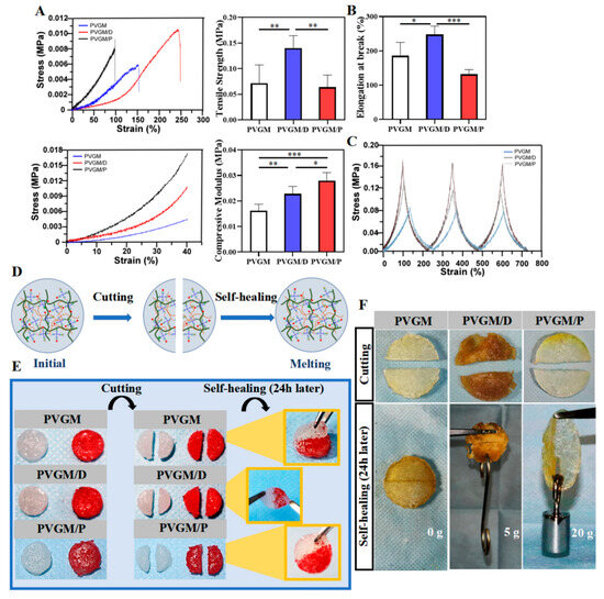 Hydrogel Tissue Bioengineered Scaffolds in Bone Repair: A Review