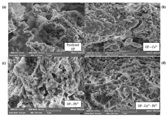 Synthesis, Characterization, and Biosorption of Cu2+ and Pb2+ Ions from an Aqueous Solution ...