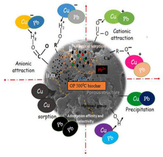 Synthesis, Characterization, and Biosorption of Cu2+ and Pb2+ Ions from an Aqueous Solution ...