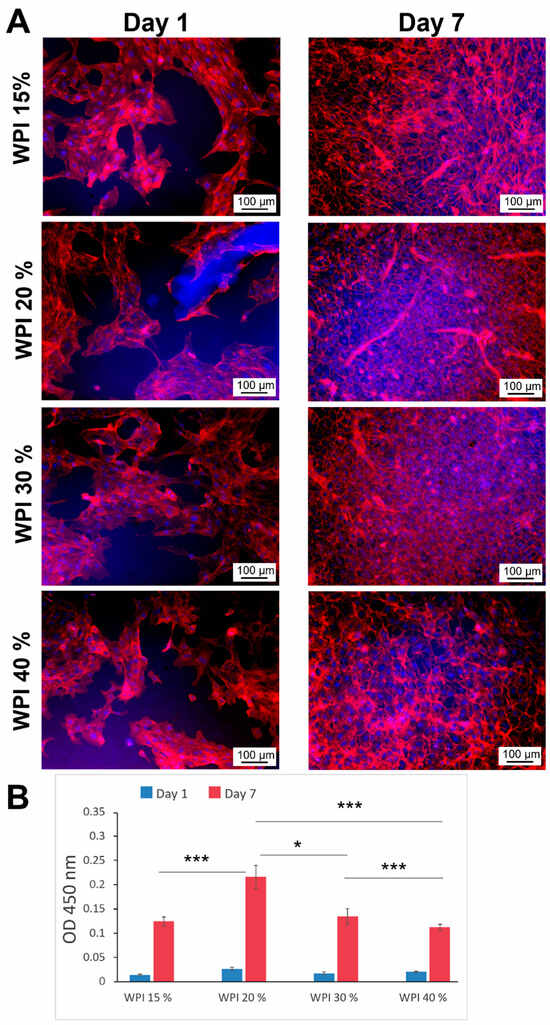 Endothelialization of Whey Protein Isolate-Based Scaffolds for Tissue ...
