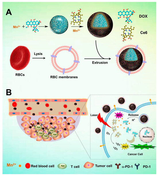 Advance Progress in Assembly Mechanisms of Carrier-Free Nanodrugs for ...