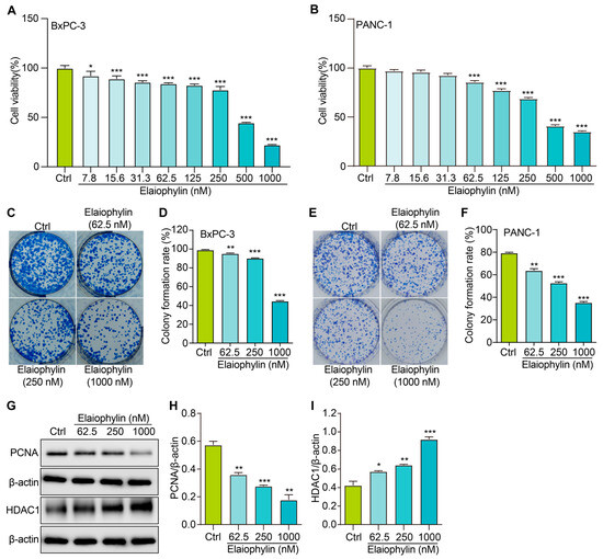 Elaiophylin Elicits Robust Anti-Tumor Responses via Apoptosis Induction ...