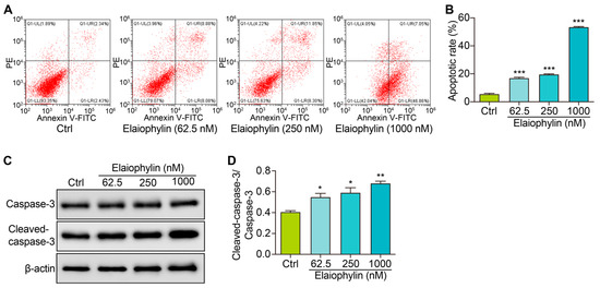 Elaiophylin Elicits Robust Anti-Tumor Responses via Apoptosis Induction ...