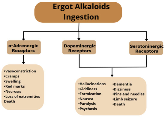 Ergot Alkaloids on Cereals and Seeds: Analytical Methods, Occurrence ...