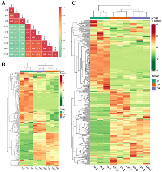 Molecules | Free Full-Text | Metabolomics Analysis Reveals the ...
